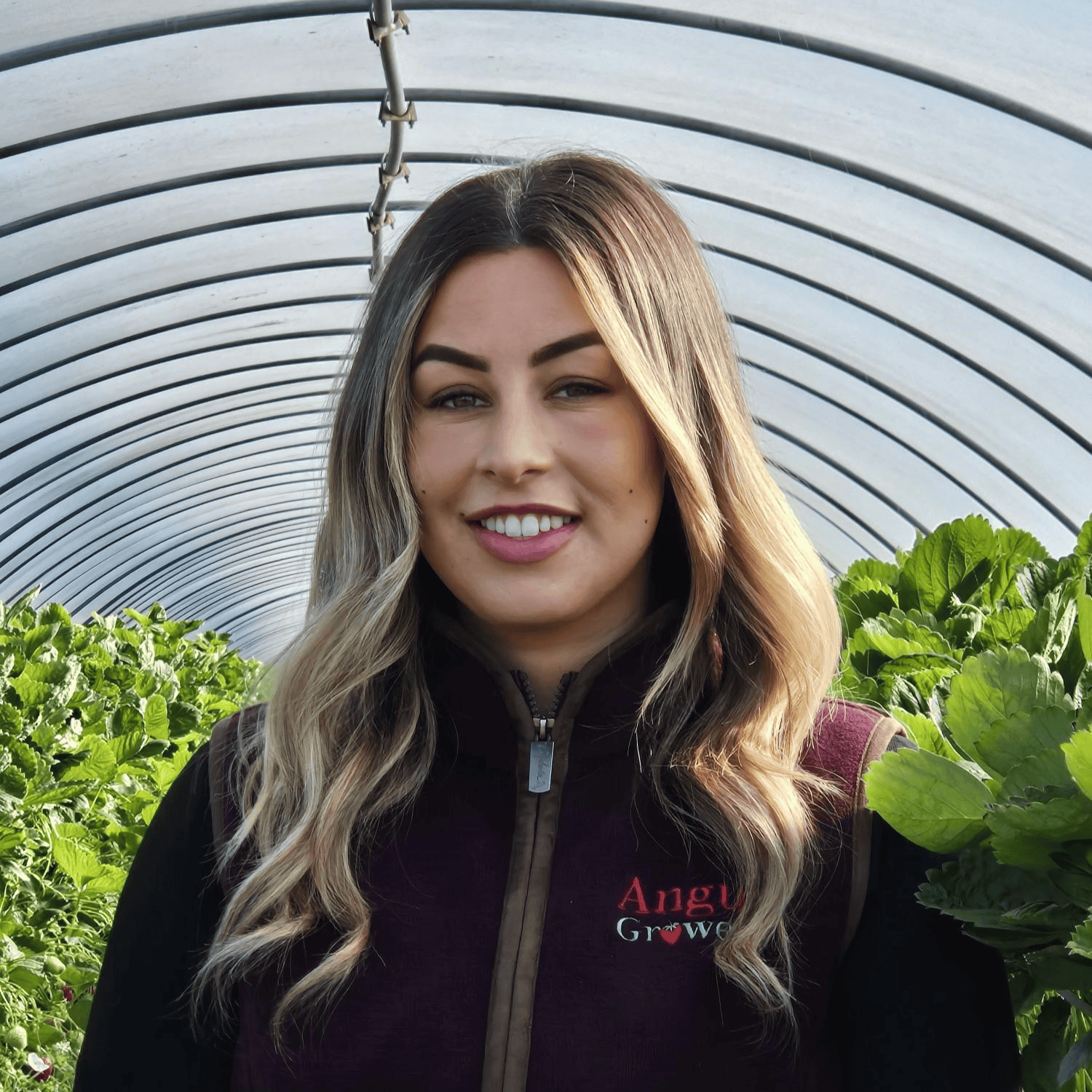 Angus Growers – Our Team
